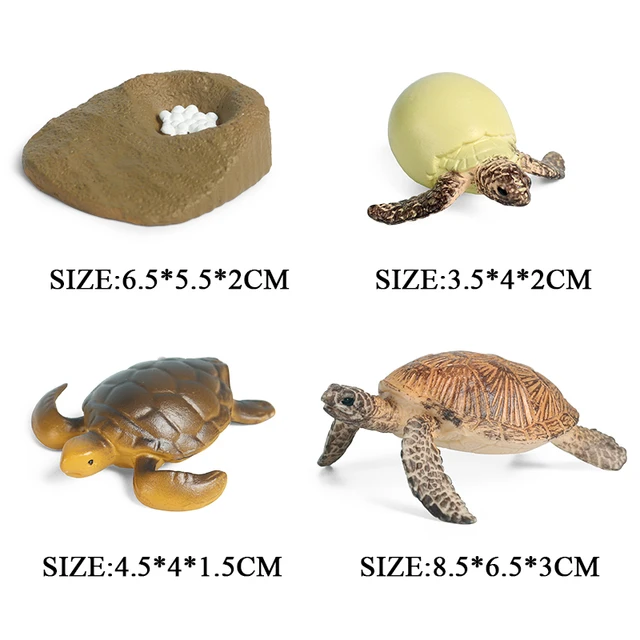 Oenux Sea Life Animals Model Leatherback Tortoise Turtle Growth Cycle ...