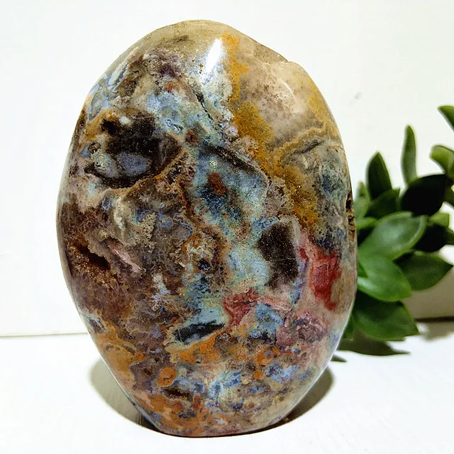 Store Home Products Feedback