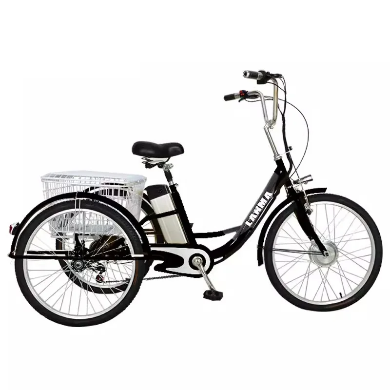 24-Inch-Adult-Electric-Tricycle-250W-48V-Three-Wheeled-Electric-Bike ...