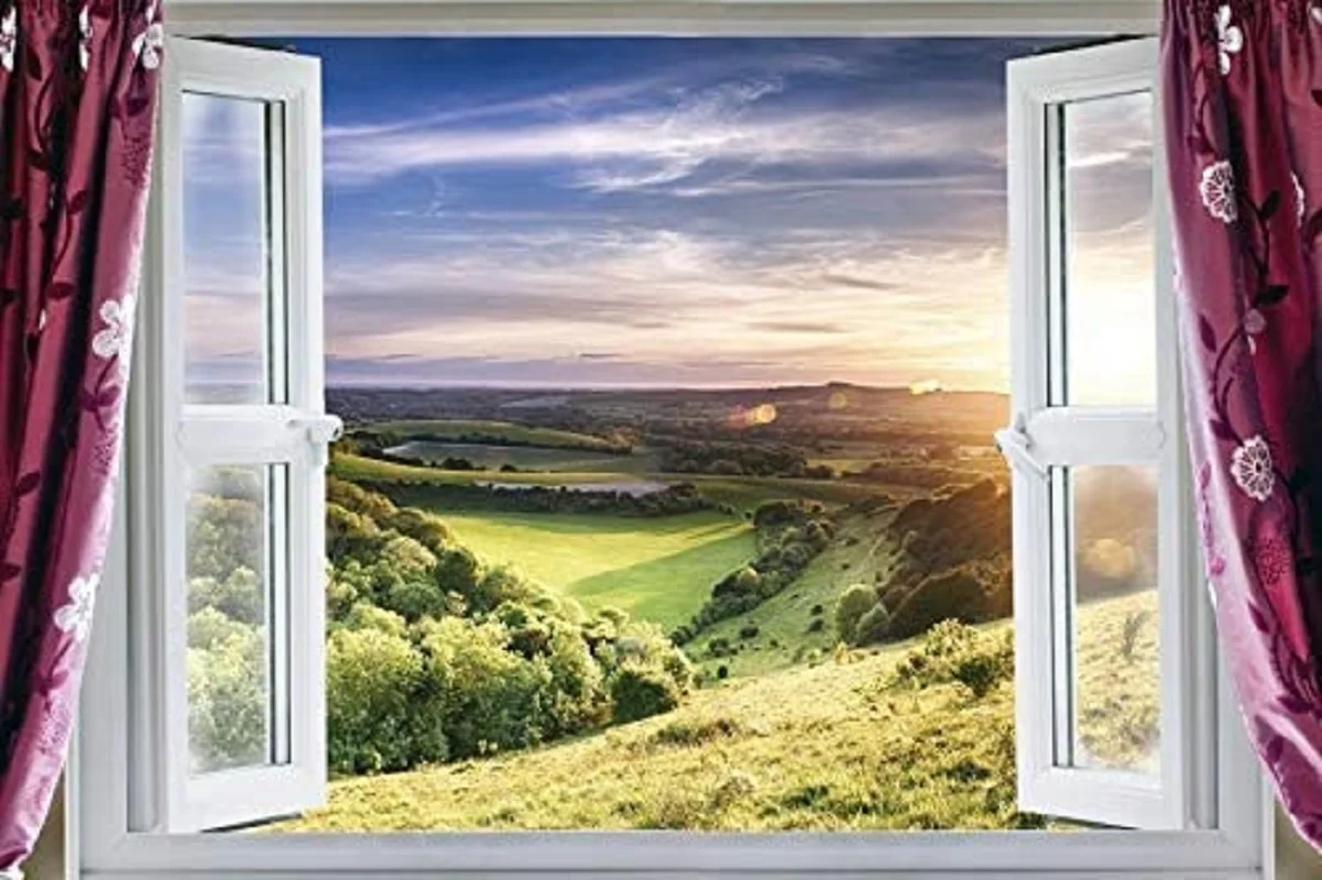 Window View Background