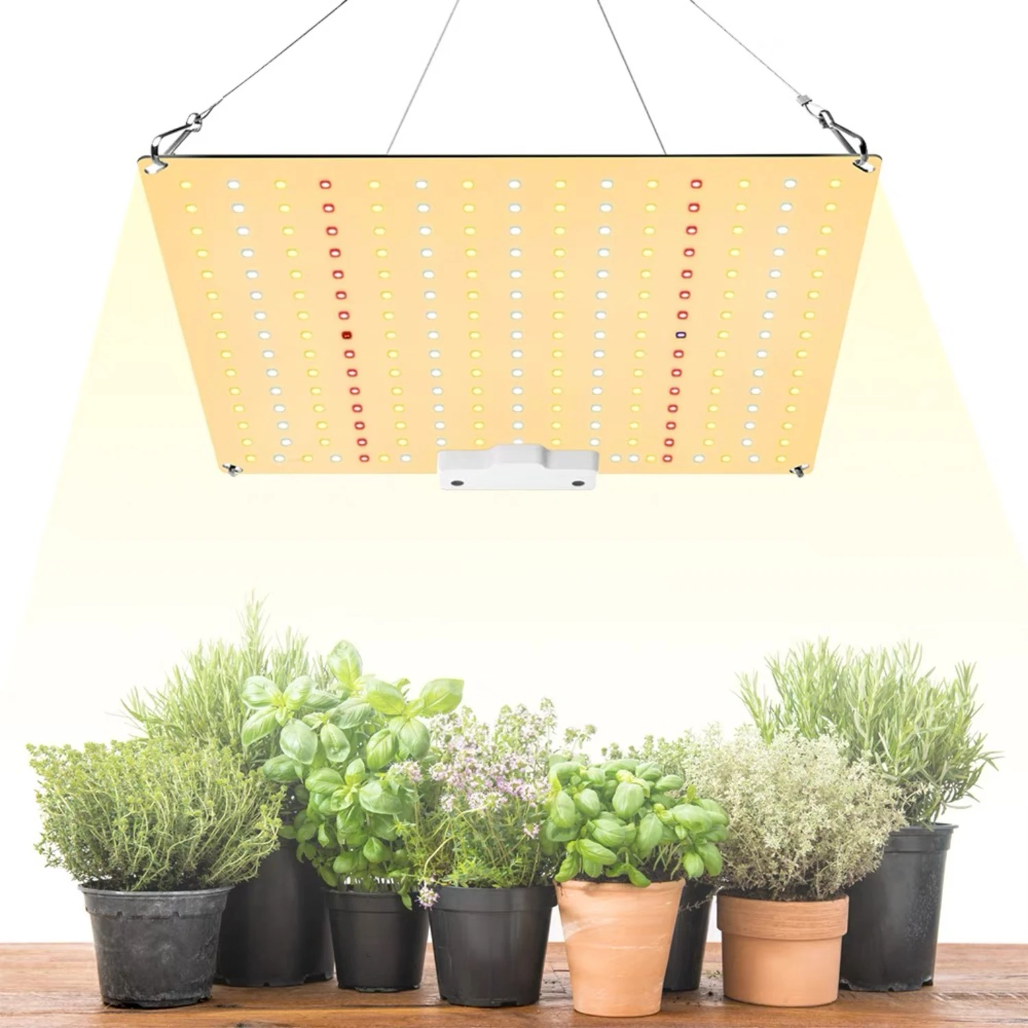 Samsung-LED-Grow-Light-com-EU-Plug-Quantum-Board-L-mpada-de-Crescimento ...