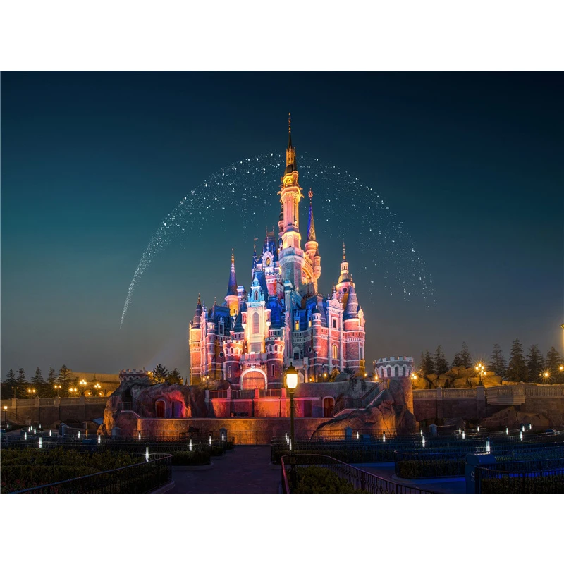 Disneyland Castle Background