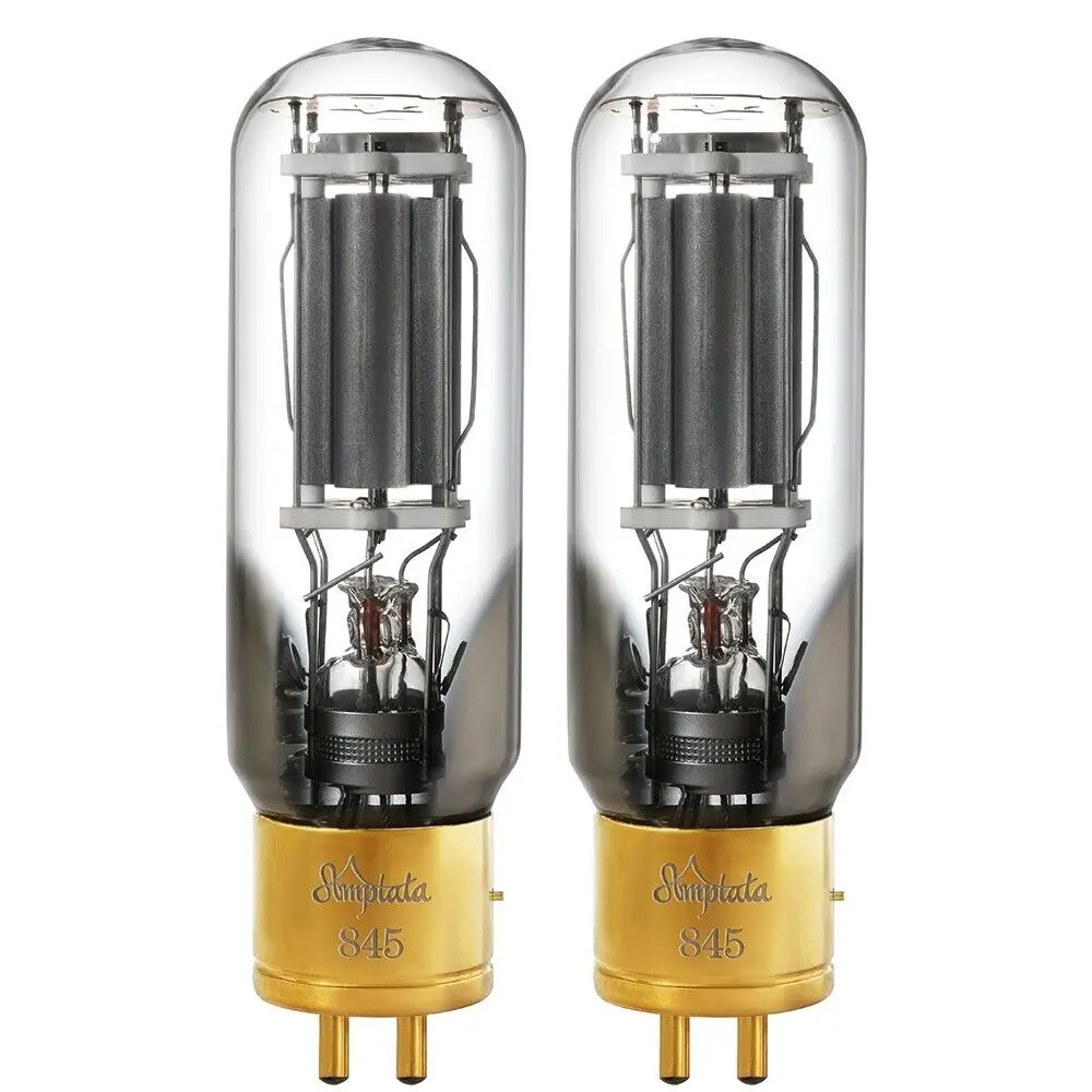 Matched-Pair-AMPTATA-845-Vacuum-Tube-HIFI-Audio-845B-Amplifier-Perfect ...