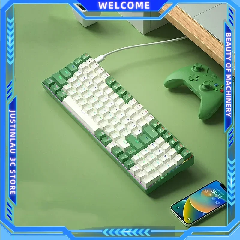 100-Keys-Type-c-Wired-Mechanical-Keyboard-Hebrew-Rechargeable-RGB-LED ...
