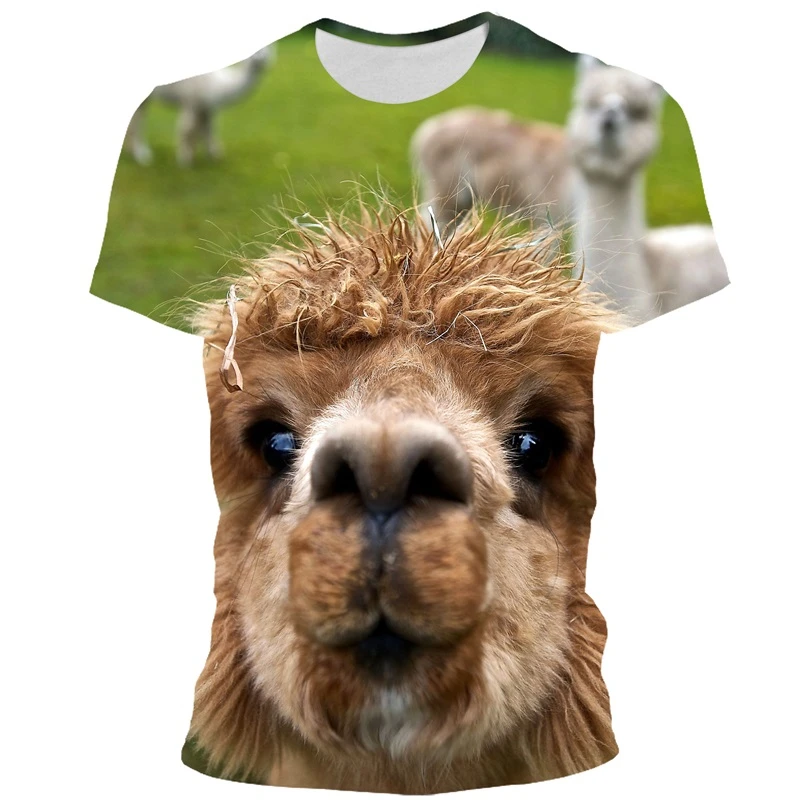 Fashion-Animal-Graphic-T-Shirts-Kawaii-Meerkat-Squirrel-3D-Printing ...