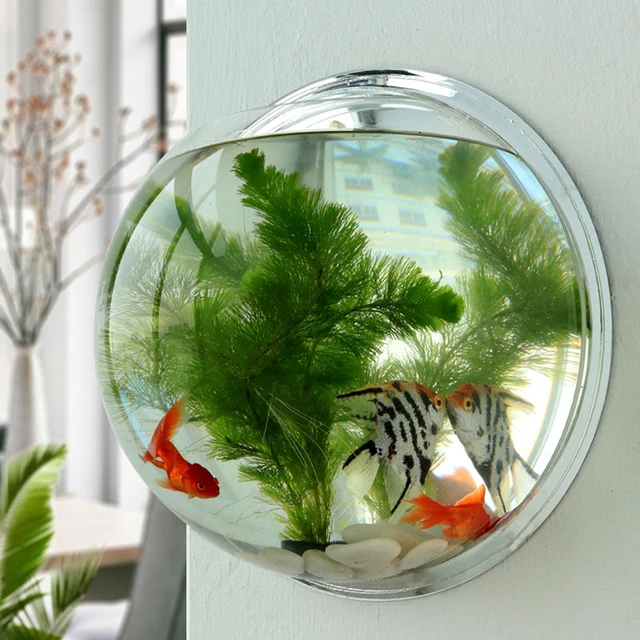 Hanging Fish Tank