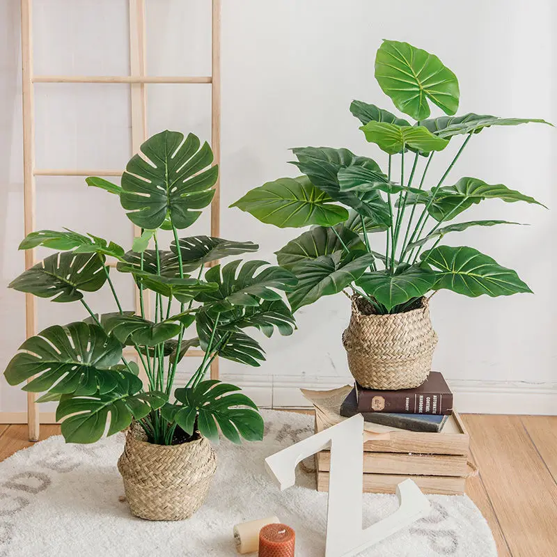 Artificial-Turtle-Back-Leaf-High-Grade-Simulation-Of-Fake-Flowers-18 ...