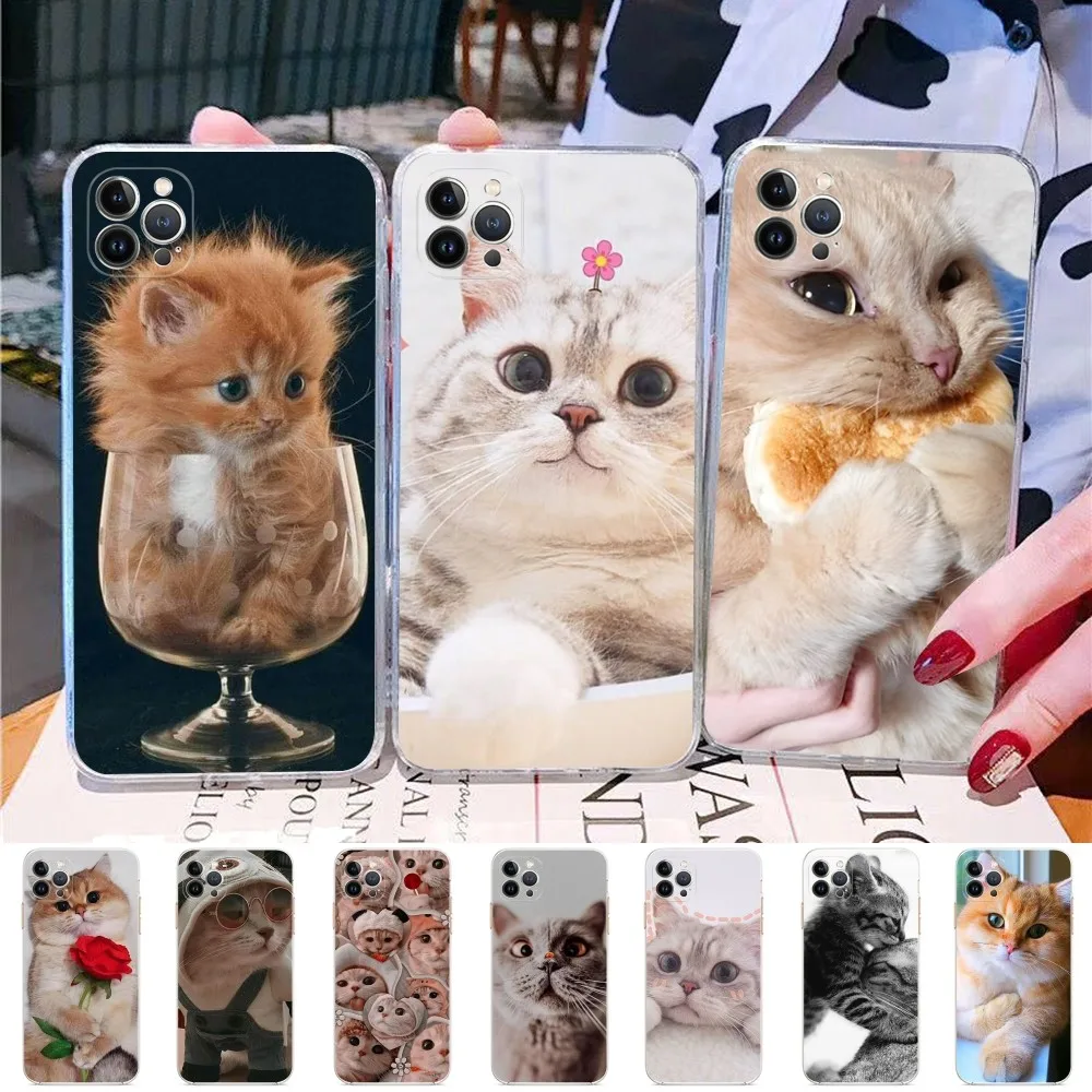 Cute-Cat-Phone-Case-For-iPhone-15-14-11-12-13-Mini-Pro-XS-Max-Cover.jpg
