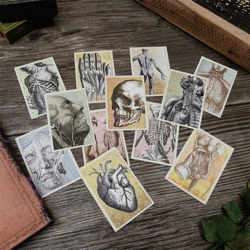 12-Pieces-Vintage-Stickers-Biological-Anatomy-Skeleton-Junk-Journal ...