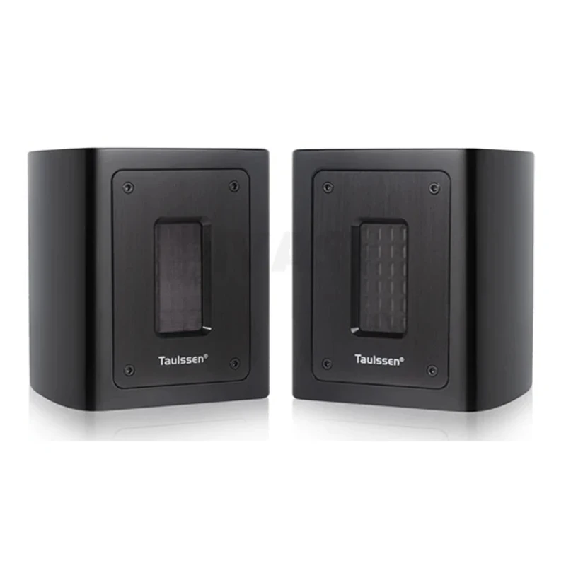 30W-5Ohm-Brand-New-Fever-Independent-Ribbon-Super-Tweeter-External ...