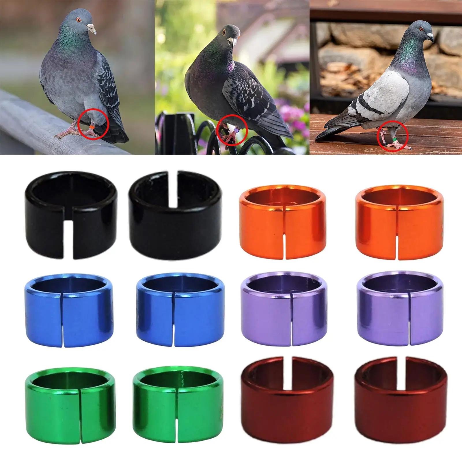 12Pcs-Racing-Pigeon-Leg-Foot-Rings-8mm-Identify-Clip-Rings-for-Poultry ...