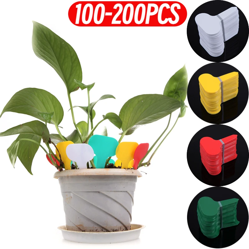 Sign-Plant-Tags-Garden-Nursery-Labels-for-Plant-Marking-Plastic-Plant ...
