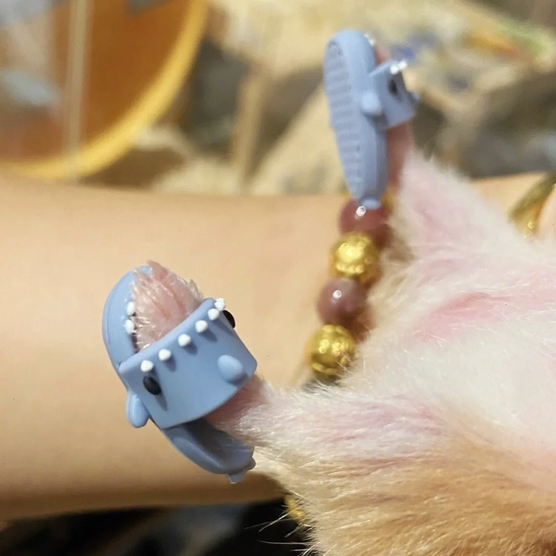Mini Hamster Shoes Golden Bear Slippers Cute Shark Slippers Cosplay ...