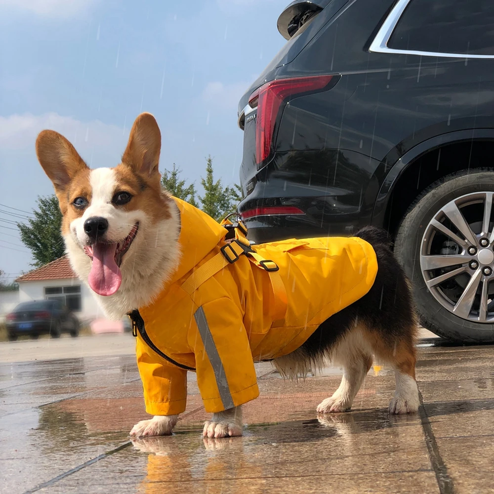 New-Style-Waterproof-Pet-Rain-Slicker-Dog-Raincoat-Polyester-Dog-with ...