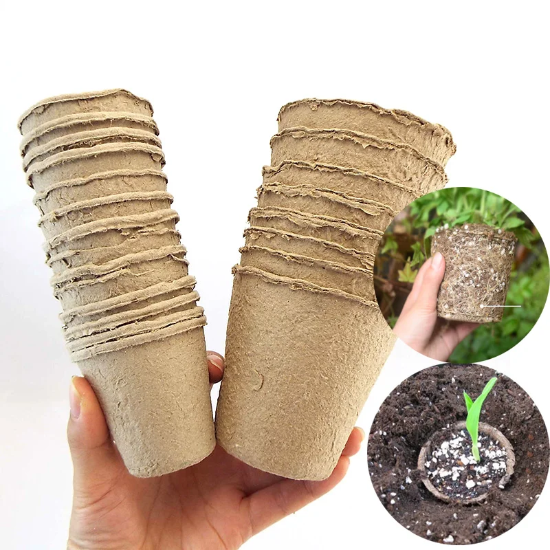 - AliExpress