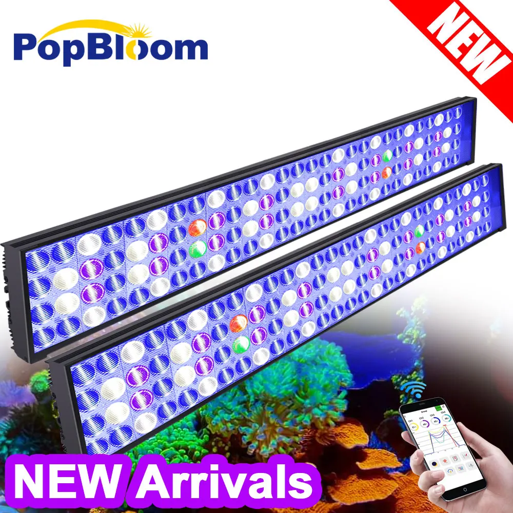 Fish Tank Texture Made Real: How the PopBloom-H75 WiFi Marine Aquarium ...