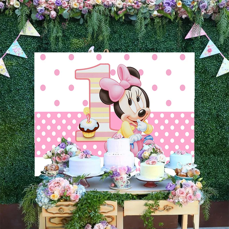 Baby Minnie Mouse First Birthday Pictures
