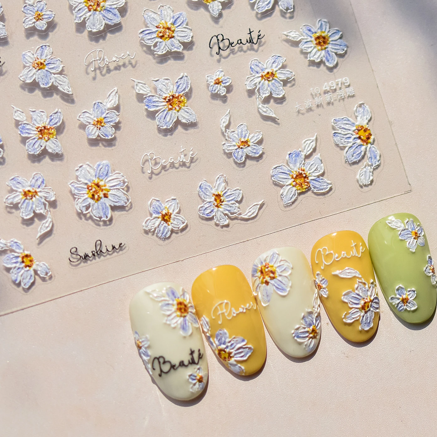 Flowers in Bloom Cosmos Chrysanthemum Daisy White Petal Yellow Stamen ...