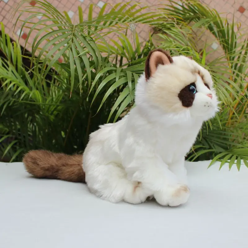 25cm-Ragdoll-High-Fidelity-Cute-Plushie-Rag-doll-Cat-Plush-Toys ...