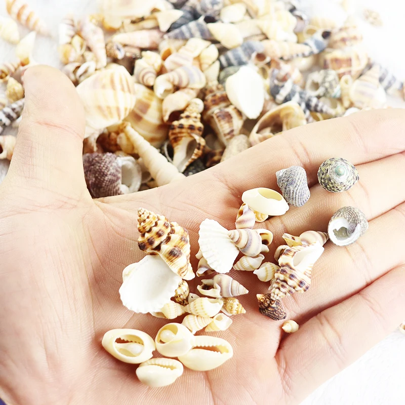 21-Style-30g-Resin-Shell-Conch-Epoxy-Resin-Filler-DIY-Resin-Filling ...