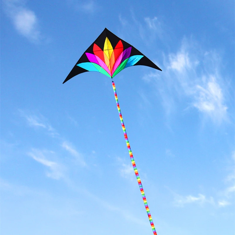 Kids Easy Kite | Delta Kites | Flying Toys | Large Kite | Kites ...