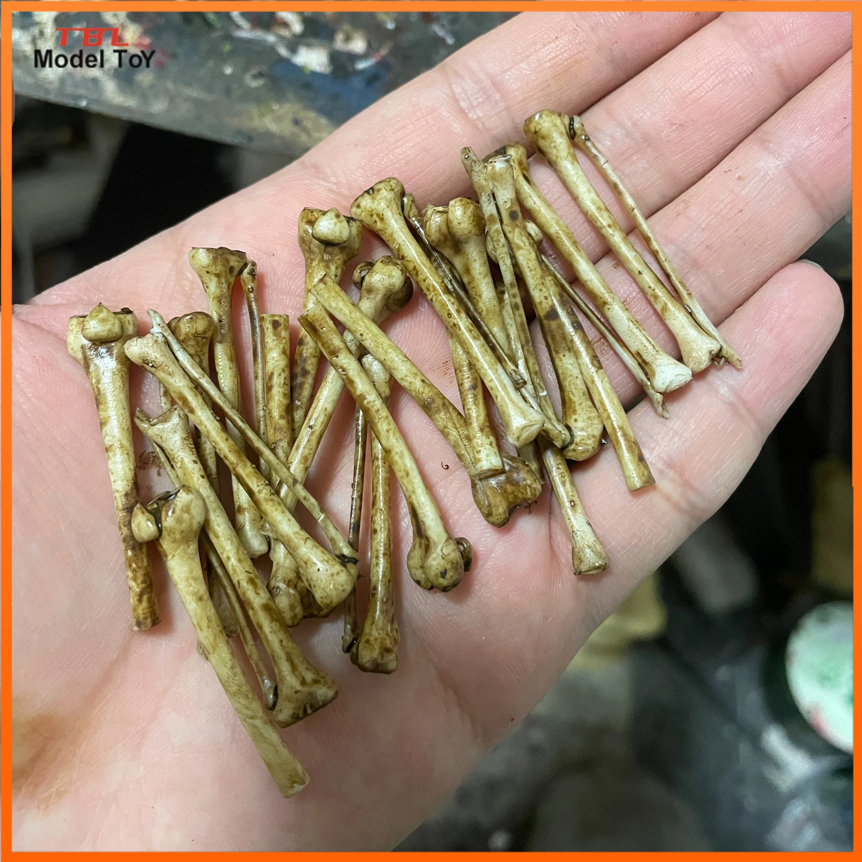 6X-1-12-Scale-Stick-Bone-Human-Rib-Model-Scene-Accessory-for-6in-7in ...