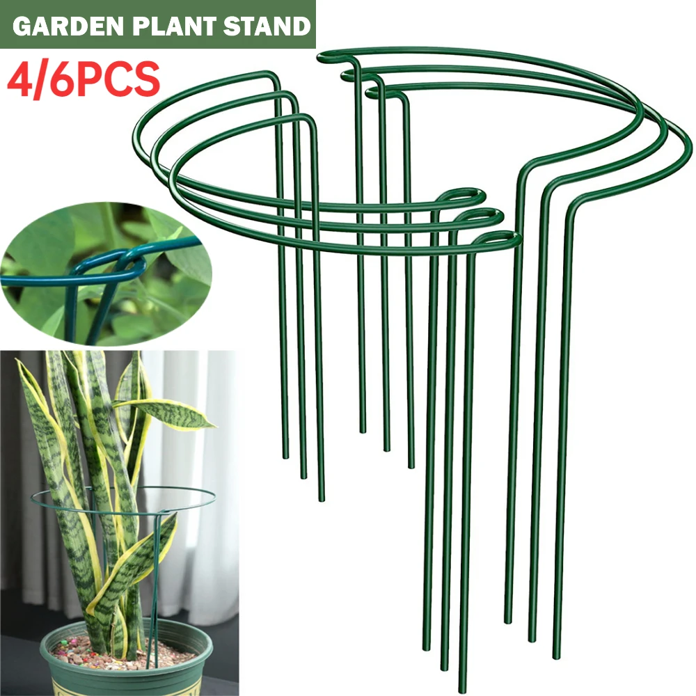 Climbing-Plant-Support-Stake-Pile-Frame-Greenhouse-Arrangement ...