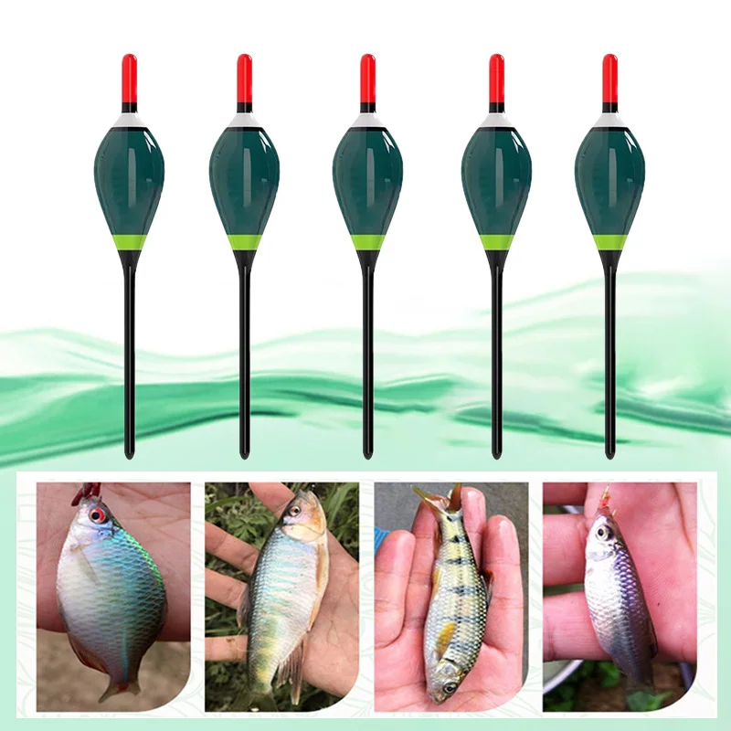 Best Sea Fishing Float Setup for Trout, Crappie, and Small Coastal ...