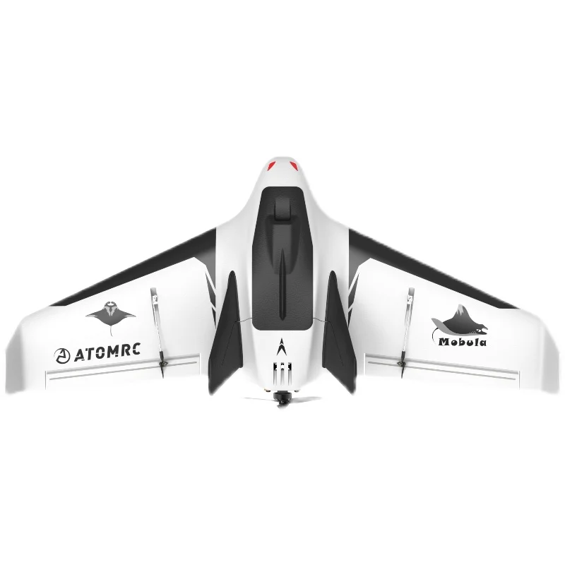 Commercial Delta Wing Aircraft