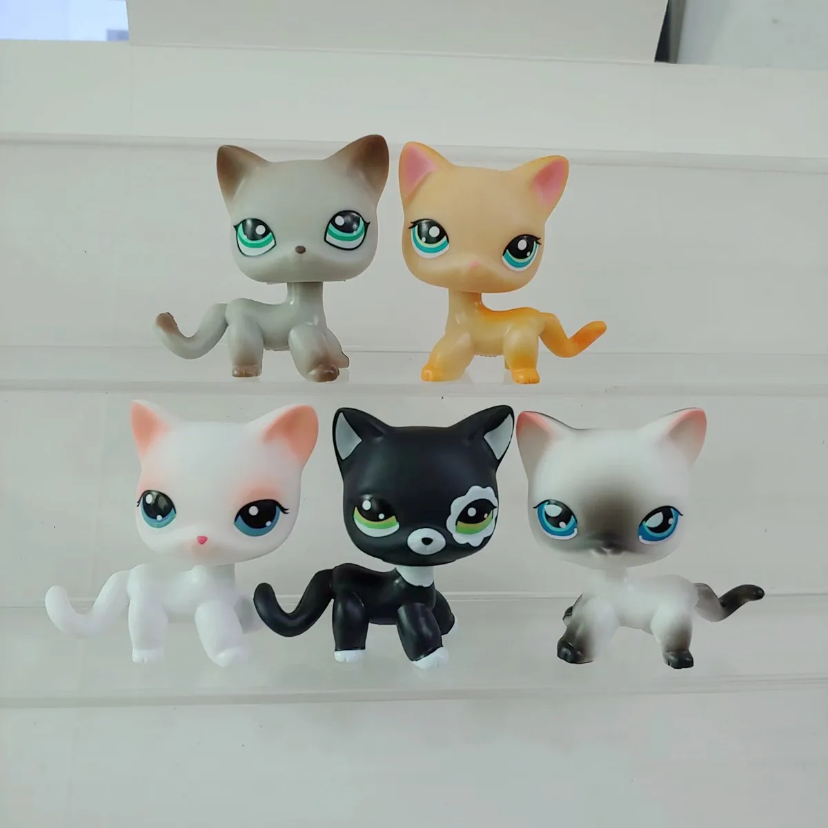 5pcs-lot-LPS-Action-Figure-Toy-cat-5-1962-2291-2249-2194-Littlest-Pet ...