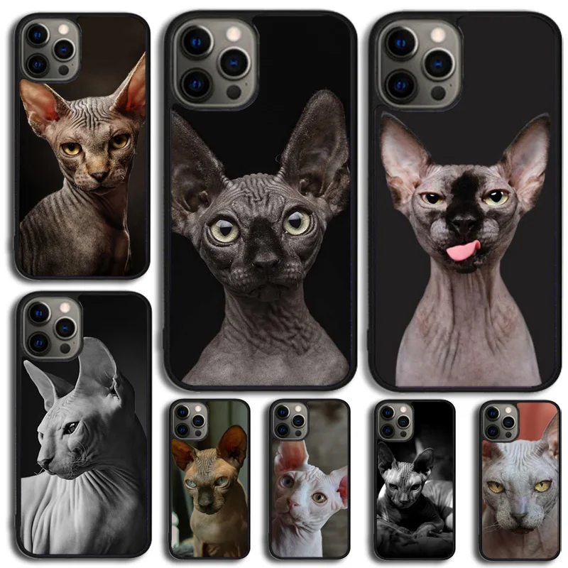 Sphynx-Sphinx-Cat-Case-For-iPhone-11-12-13-14-15-16-Pro-Max-Cover-For.jpg
