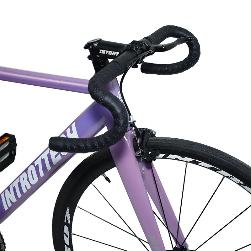 8+ Fixie Bike Frame - CaileySwastima