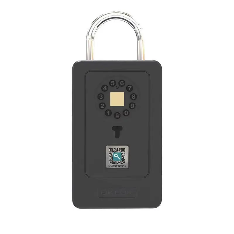 Smart-Lock-Decoration-Fingerprint-Password-Key-Box-Homestay-Wall ...