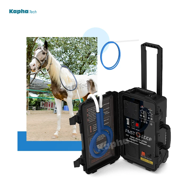 PMST-LOOP-Equine-Magnetic-For-Horse-Trainer-Use-Sport-Injury-emtt ...