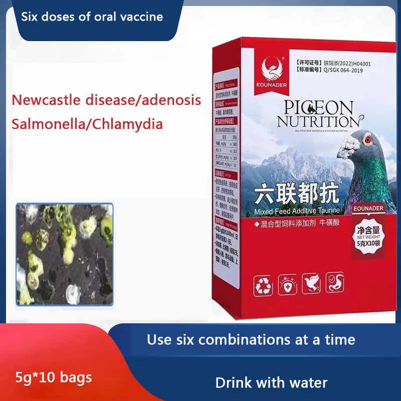 Pigeon-special-six-oral-vaccine-young-pigeon-salmonella-chlamydia-six ...