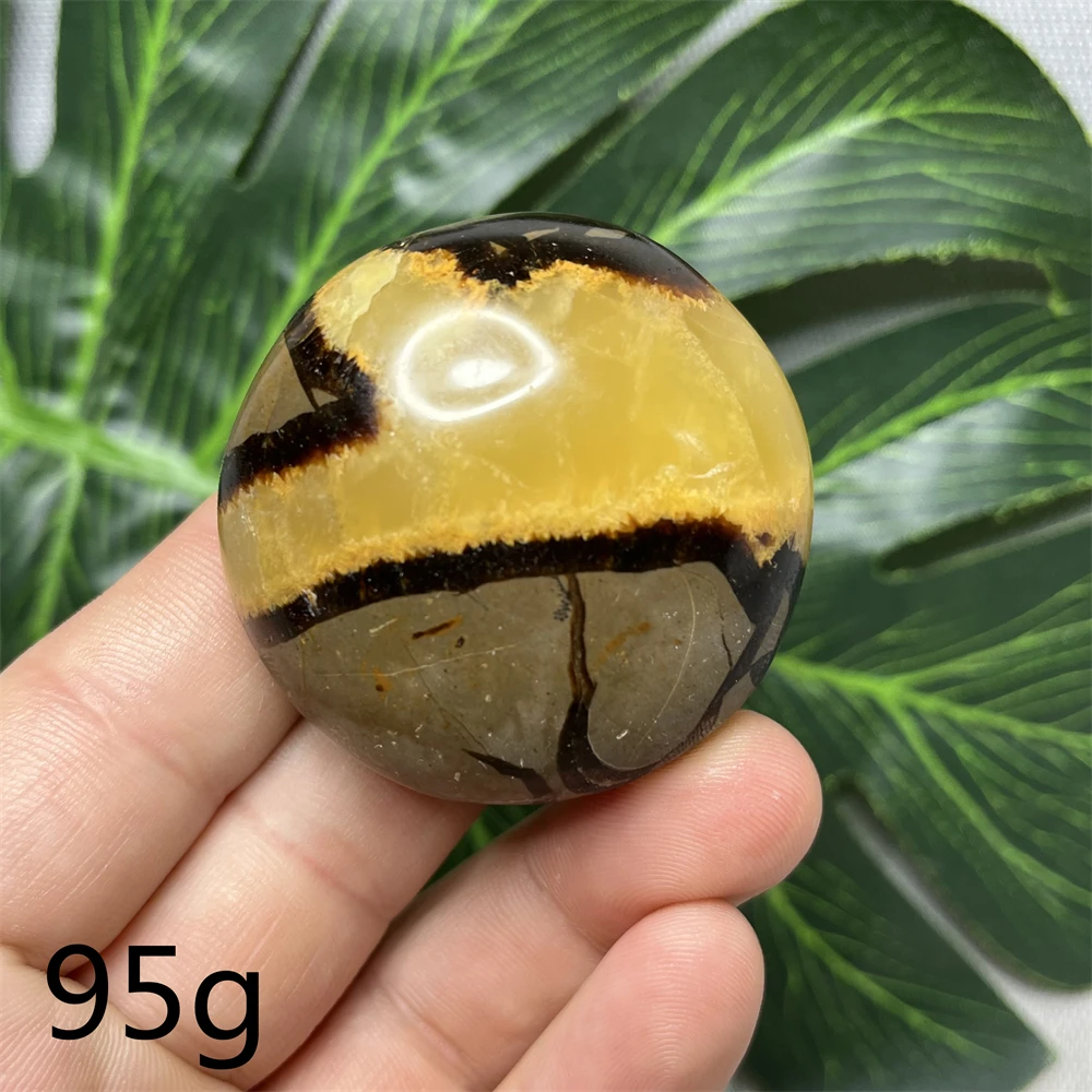 Natural-Gem-Septarium-Turtle-Shell-Stone-Palmstone-Home-Room-Decoration ...