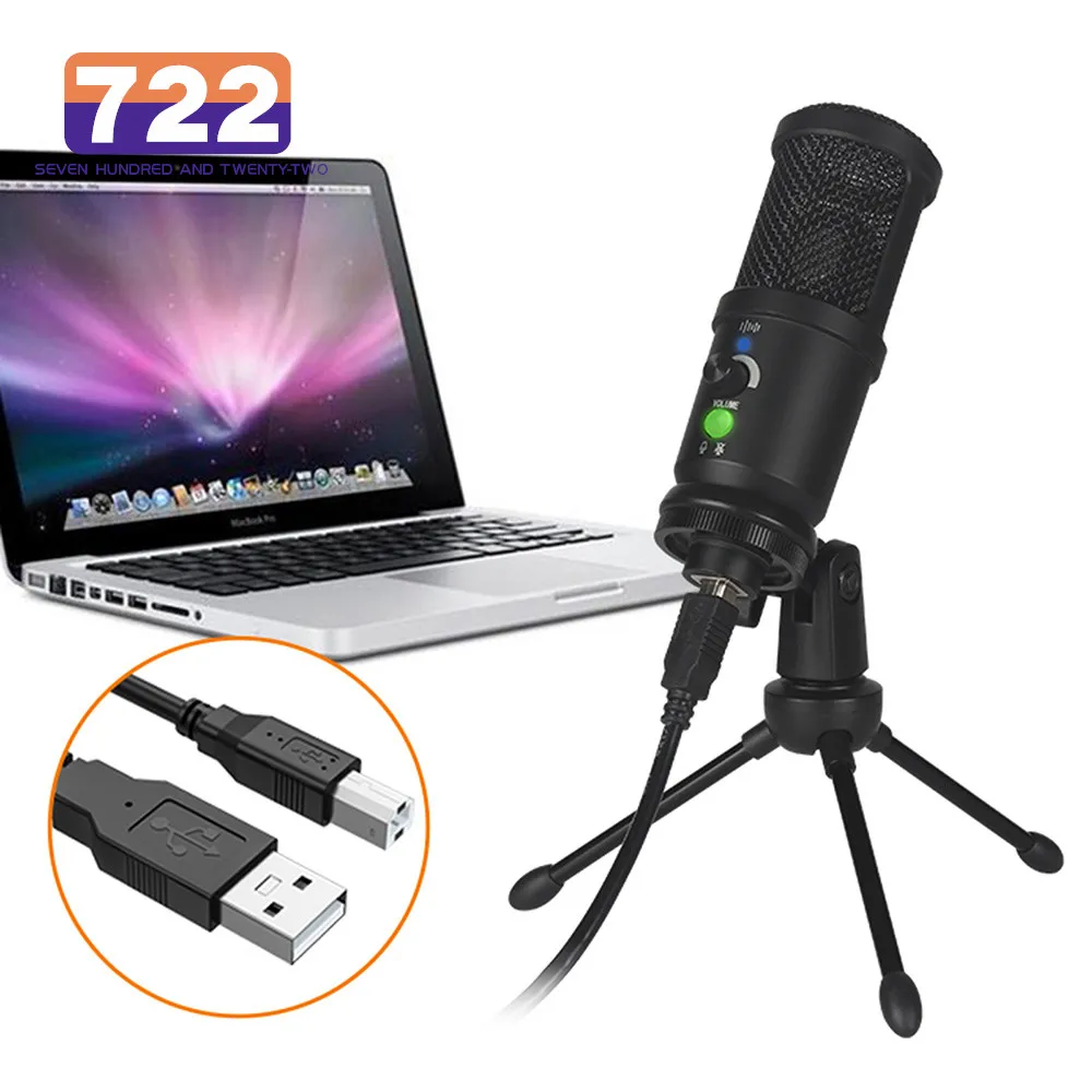 BM 66 Professional Condenser Microphone USB Microphone For Computer ...