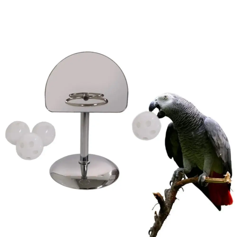 Bird-Parrot-Basketball-Hoop-Props-Toy-Parakeet-Balls-Puzzle-Game-Chew ...