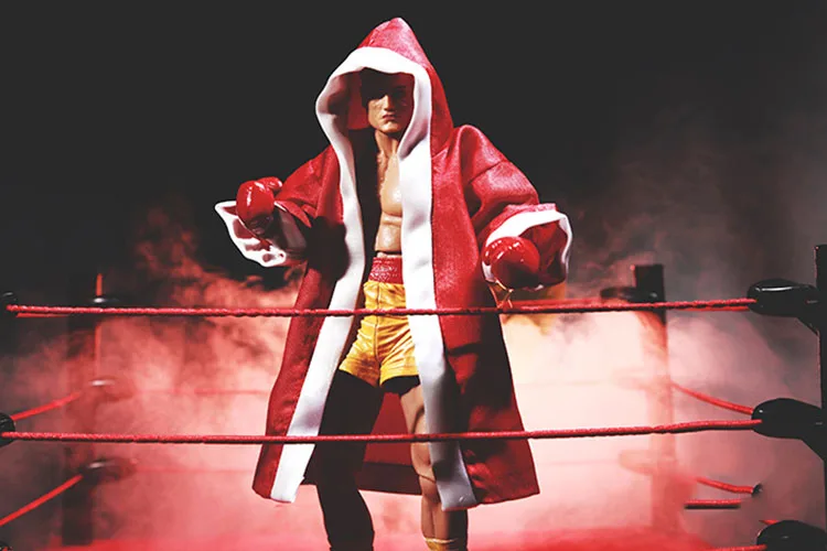Professional Boxer Robe