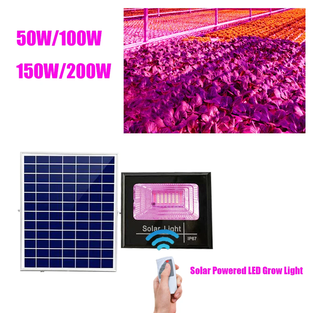 Full-spectrum-solar-grow-flood-Lights-with-solar-panel-100W-Outdoor ...