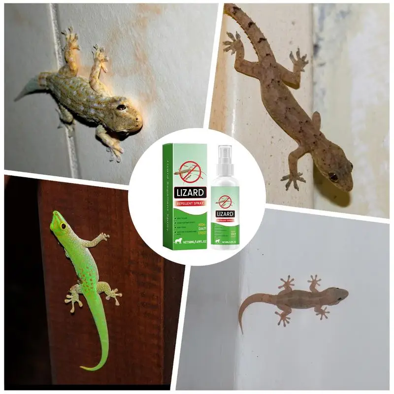 Lizard Repellents Spray Natural Lizard Repellents 50ml Lavender Oil ...