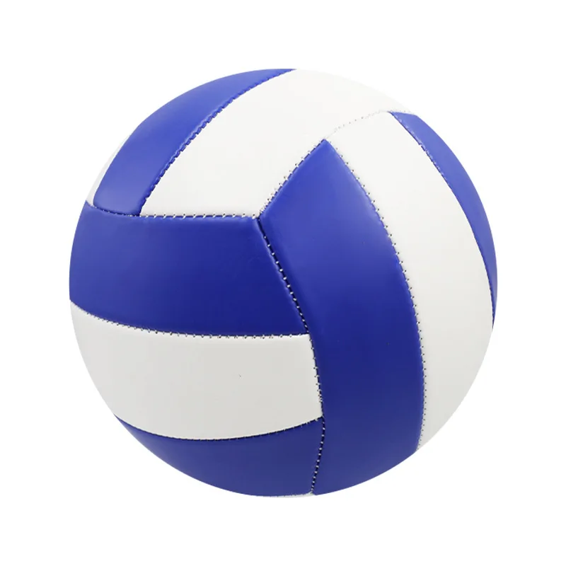 Pig With Molten Volleyball