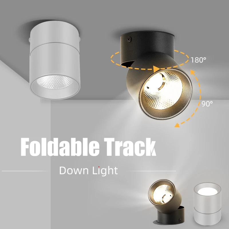 Adjustable Ceiling Spotlight with 10w Led Light Bulbs ,220v Neutral ...