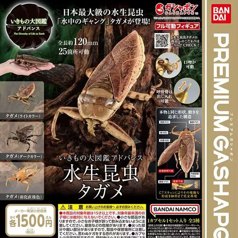 Bandai Genuine Biological Encyclopedia Gashapon Toys Simulation Aquatic ...