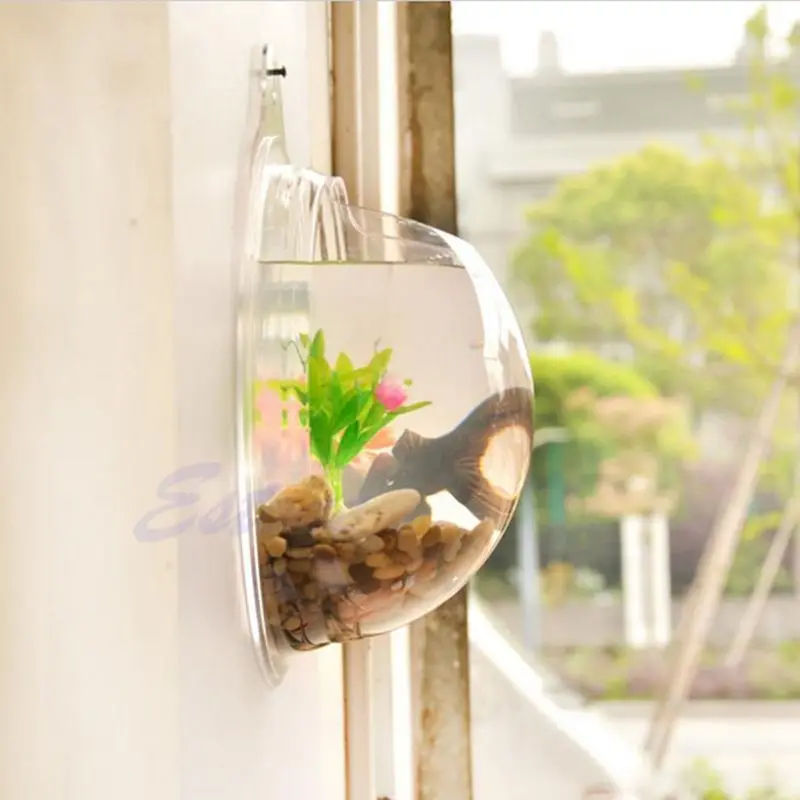 Betta Fish Tanks On Wall