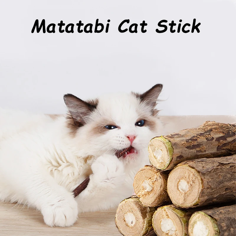 6Pcs-lot-Natural-Matatabi-Cat-Stick-Pet-Snacks-Sticks-Cleaning-Tooth ...
