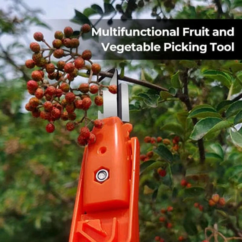 Efficient-Pepper-Gathering-Tools-Grape-Picking-Tools-Agricultural ...