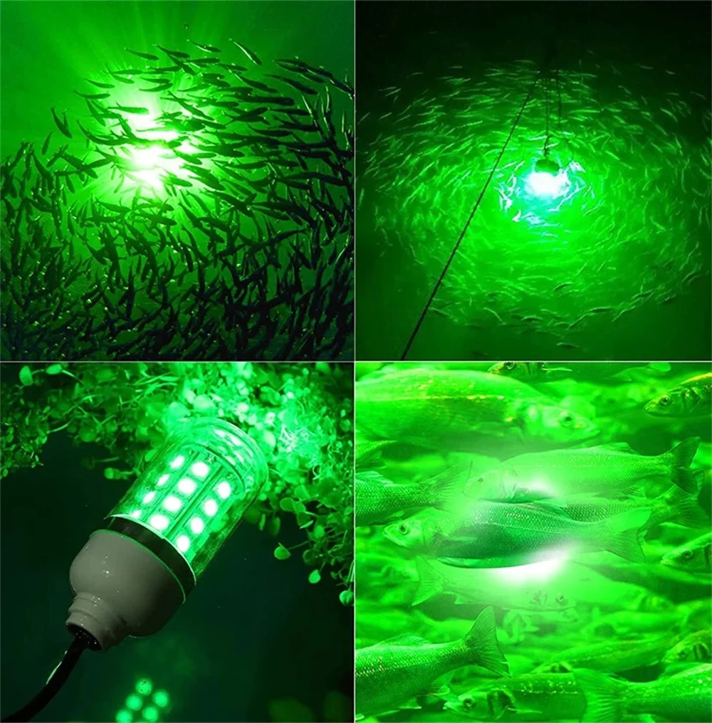 LED Fishing Light Underwater Fish Lamp AC/DC12V Ip68 Bait Spotter ...