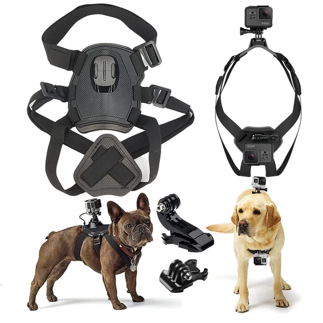Gopro Dog Mount