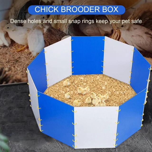 Chicken Brooder